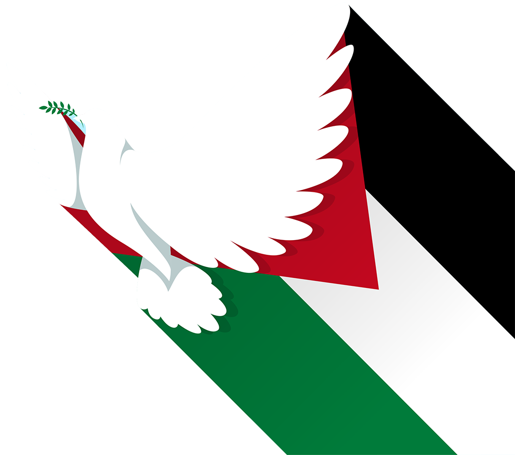 Contact - Palestinian Vision Society | Palestinian Vision Society